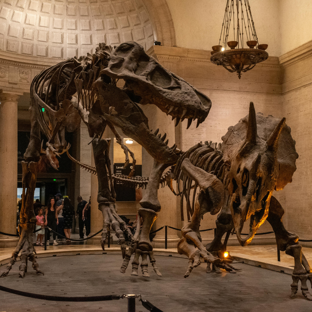 Dinosaur Attractions Nearby! - Stamford Moms