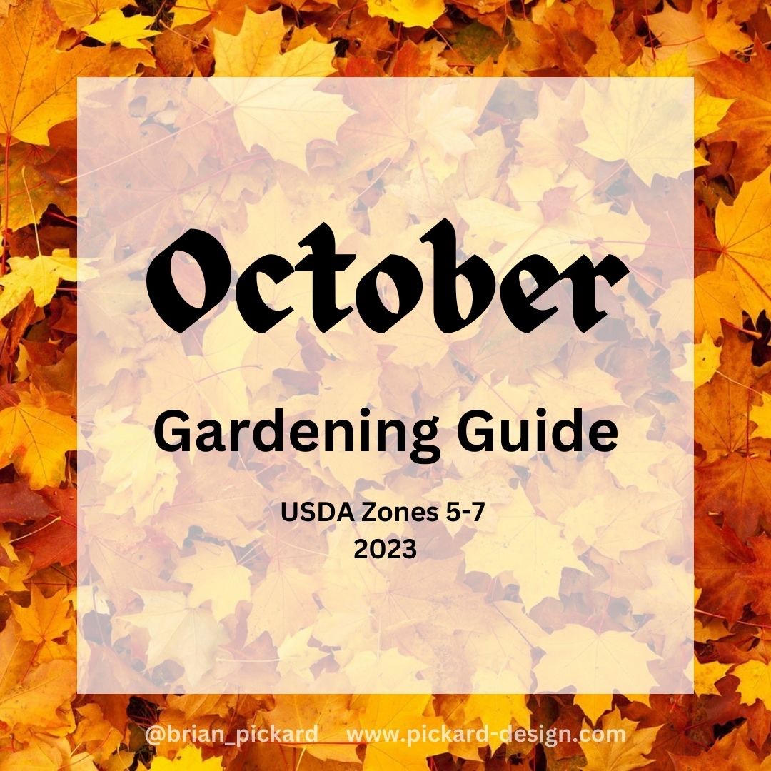 October Gardening Guide - Northern Westchester Moms