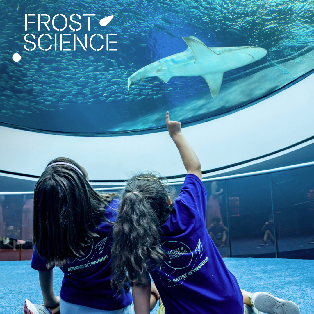 Miami Summer Camp Guide 2024 - The Miami Moms