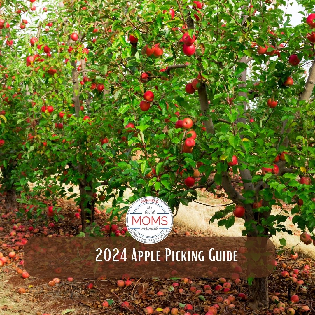 2024 Apple Picking ! - FairfieldMoms