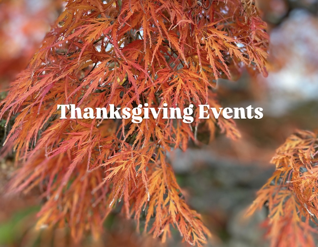 To Do in November: Thanksgiving Events - Sound Shore Moms of Westchester