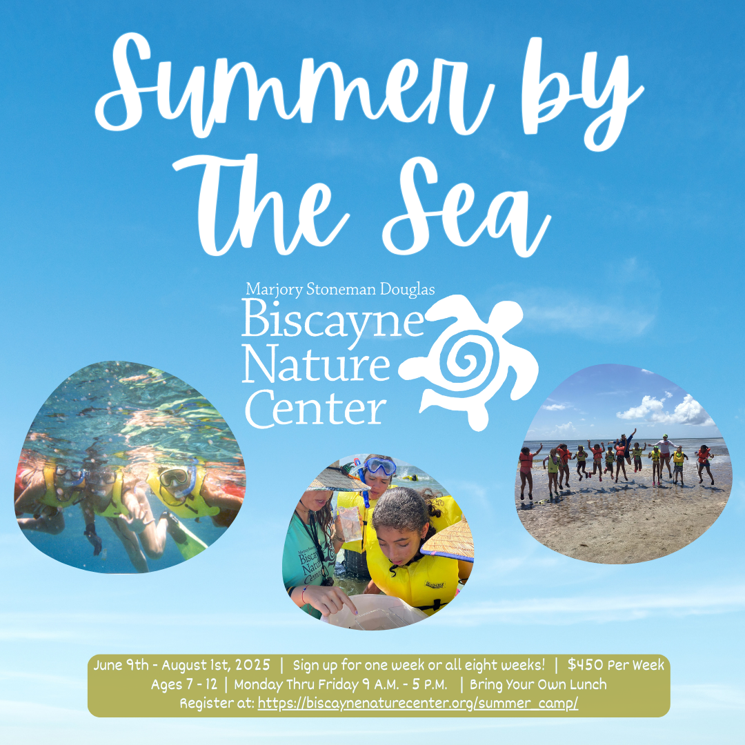 Miami Summer Camp Guide 2025 - The Miami Moms