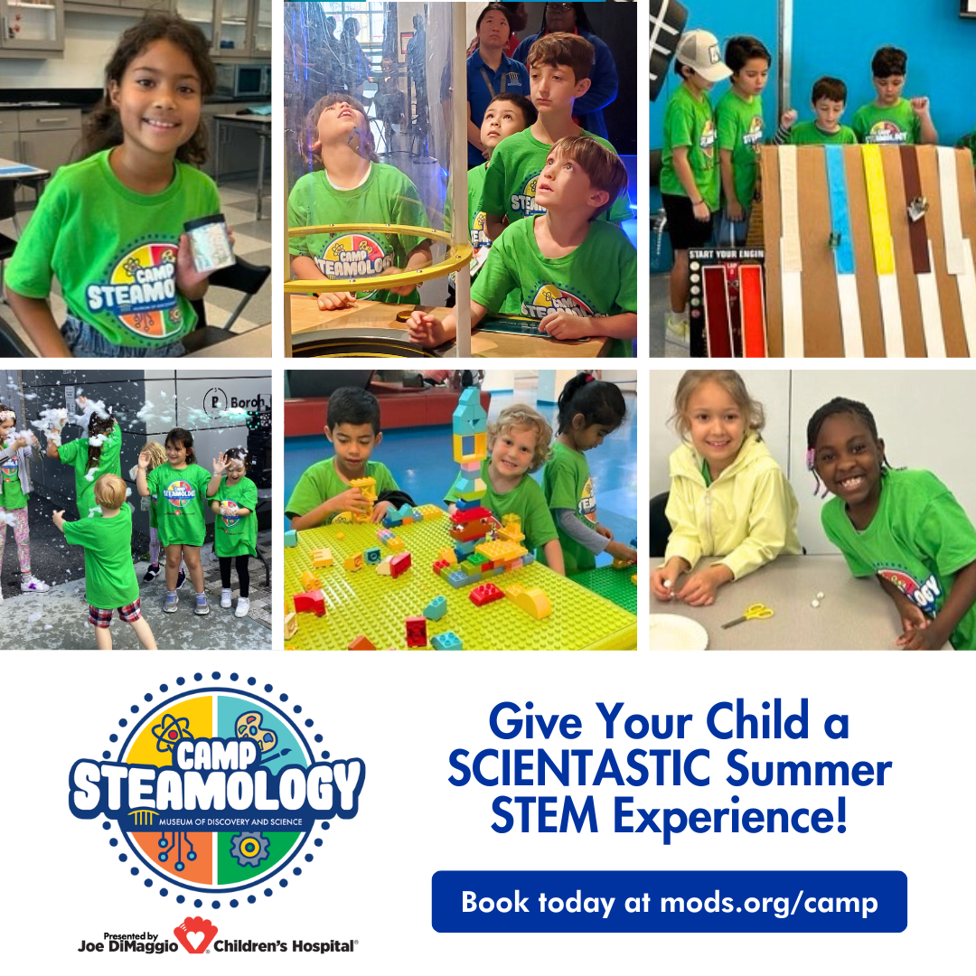 Miami Summer Camp Guide 2025 - The Miami Moms