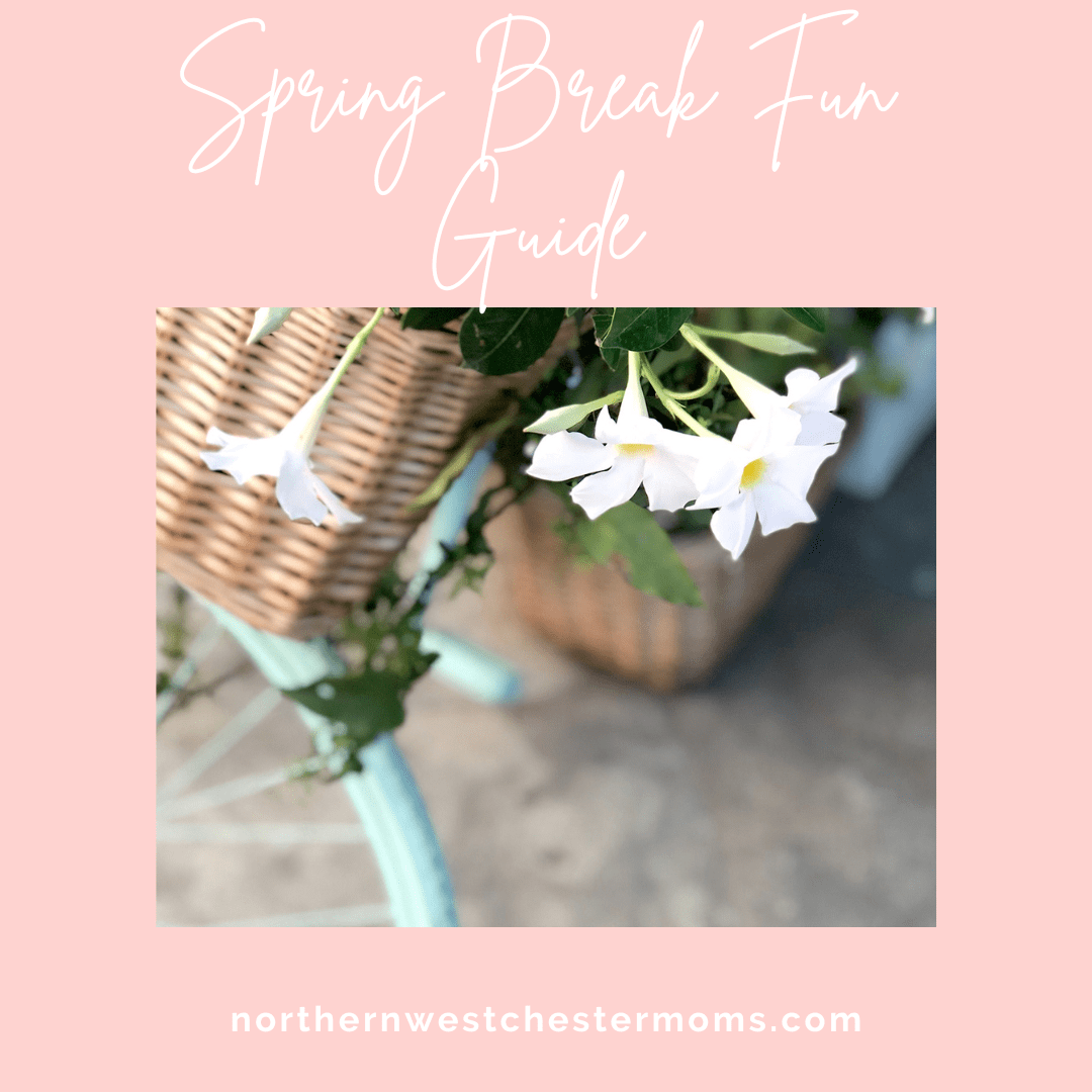 Spring Break Fun Guide! - Northern Westchester Moms