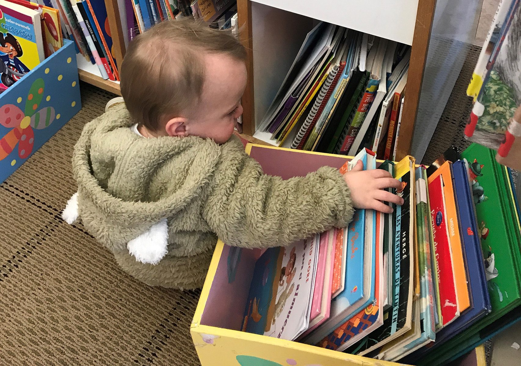 Celebrate Take Your Child to the Library Day on Saturday - Stamford Moms