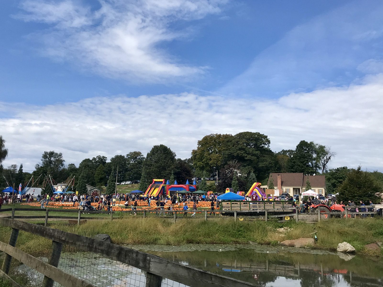 A Guide to Local Fall Festivals! - Stamford Moms
