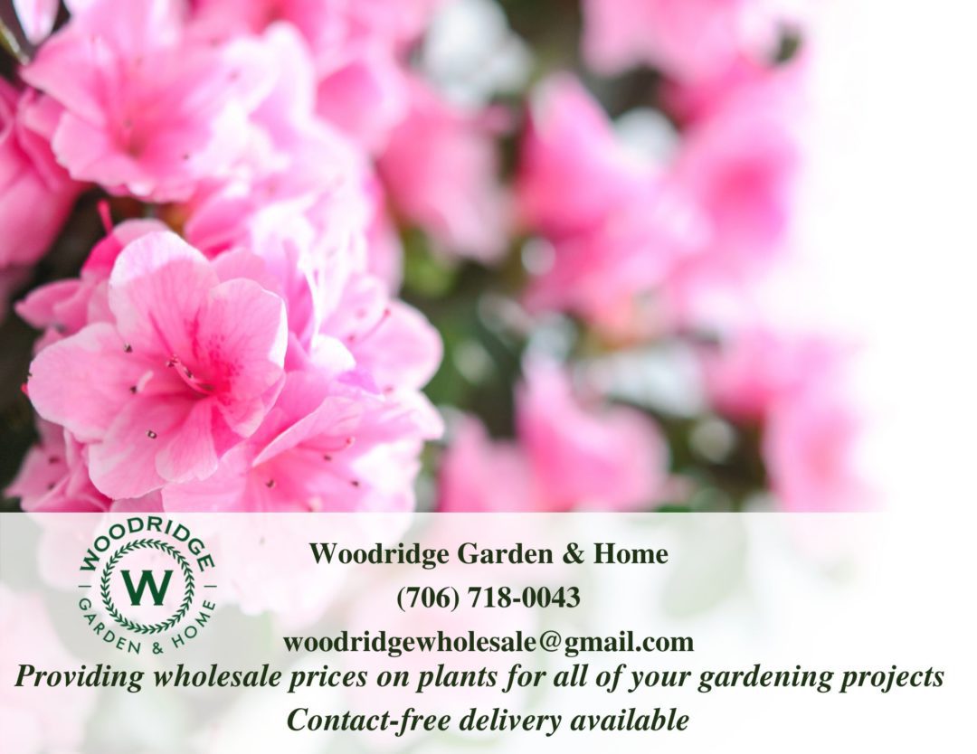 Home - Stamford Moms