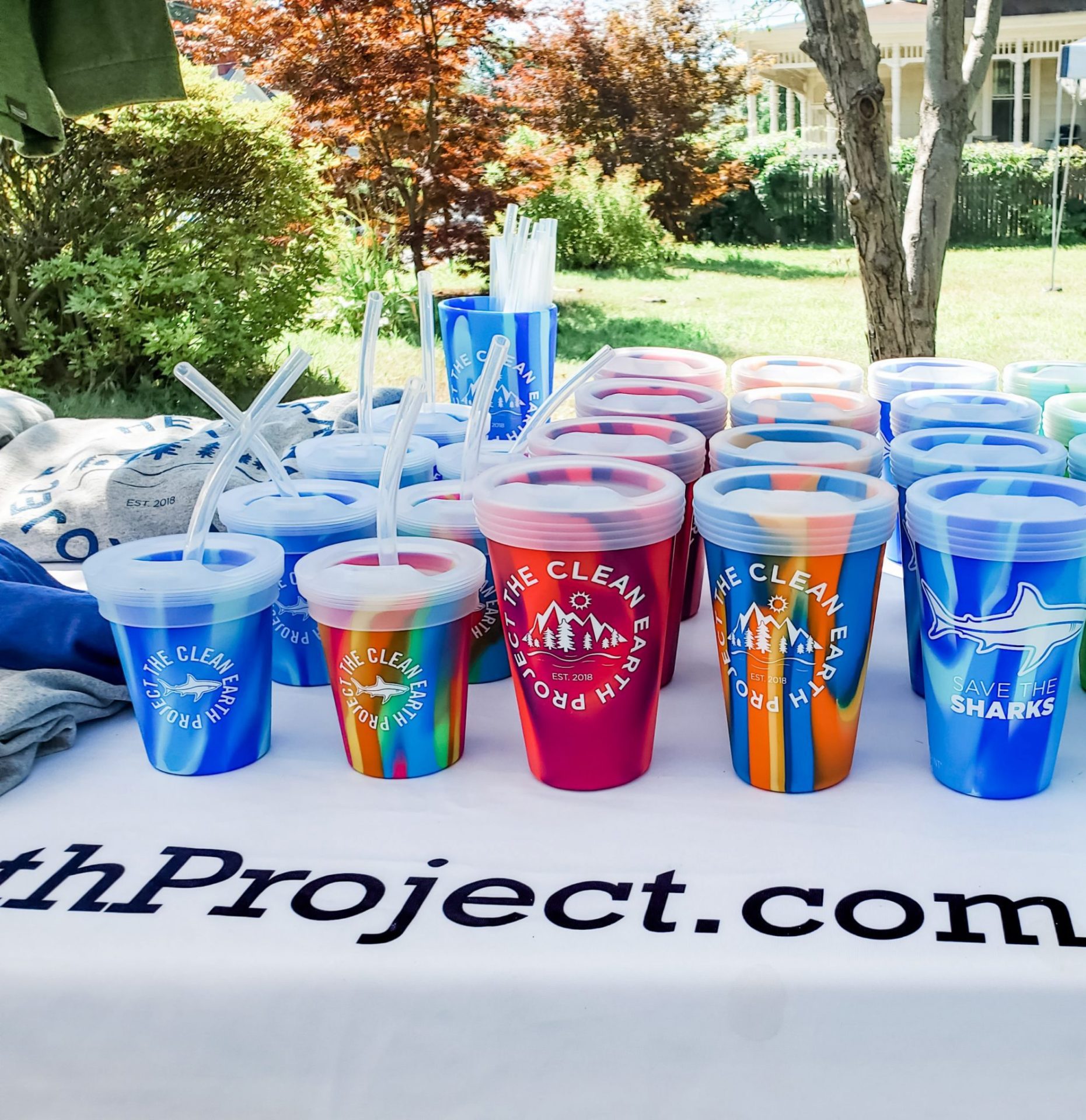 The Clean Earth Project: Doing Good For The Environment - Stamford Moms