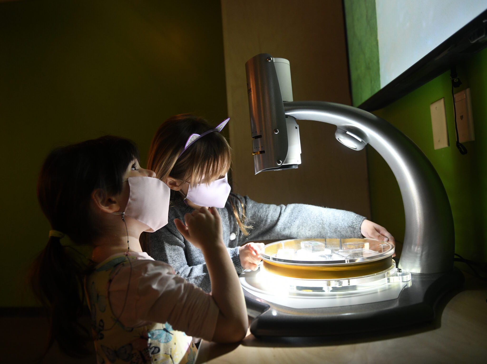 5 Reasons to Visit the New Bruce Museum on its Grand Opening Day ...