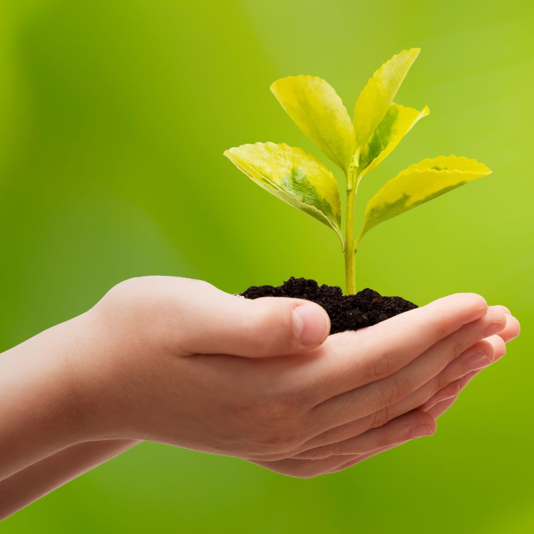 Ways to Celebrate Earth Week with the Kids! - Stamford Moms