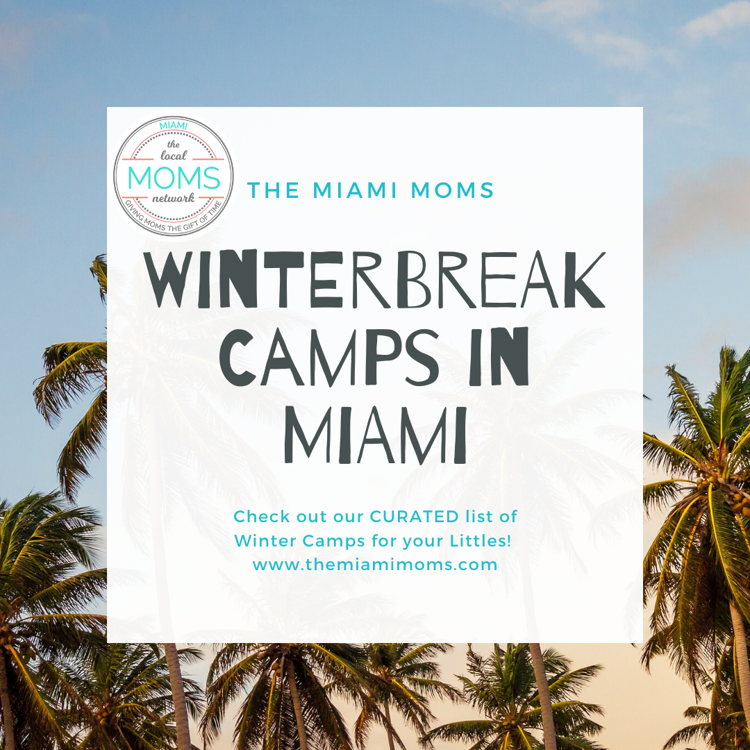 Winter Break Camps in Miami - The Miami Moms